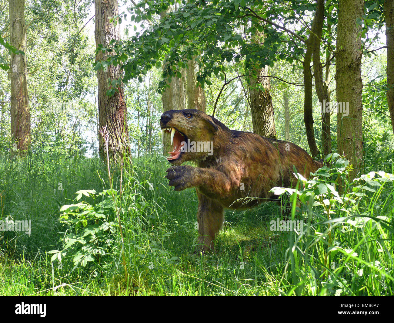 Sabre tooth tiger hi-res stock photography and images - Alamy