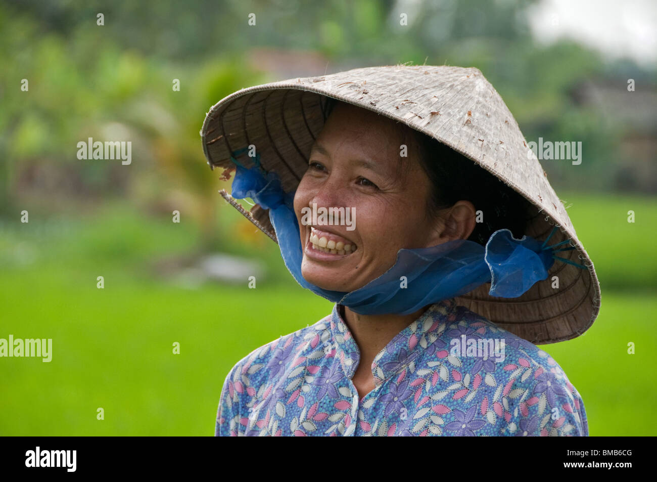 Mekong Delta Rice Paddy field Worker, Vietnam Stock Photo - Alamy