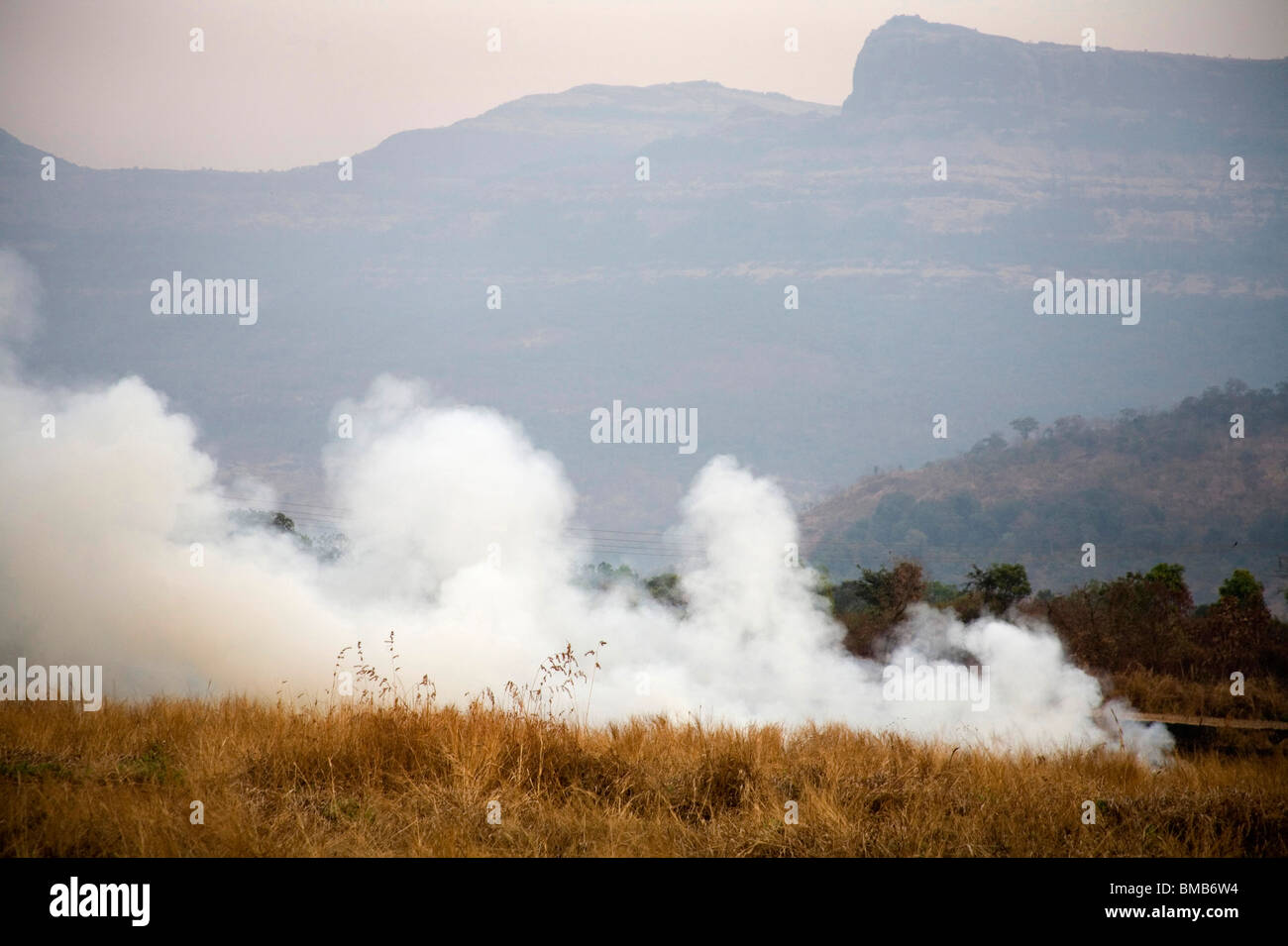 Smoke in a wheat field mountain range in background ; Karjat ...