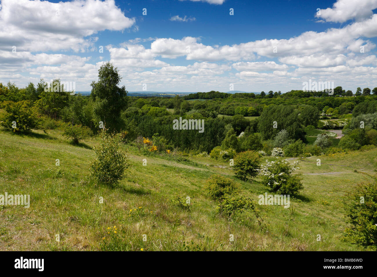 Baggeridge hi-res stock photography and images - Alamy