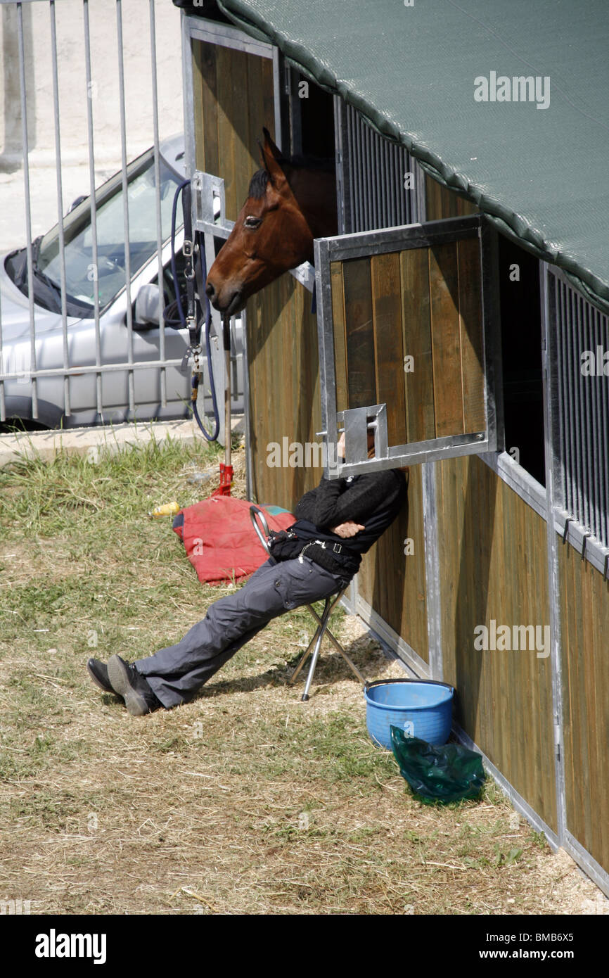 person and horse by stable in sun Stock Photo - Alamy