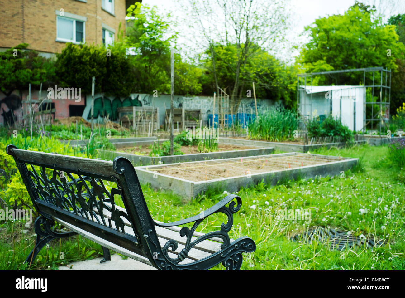 Urban garden plots Stock Photo - Alamy