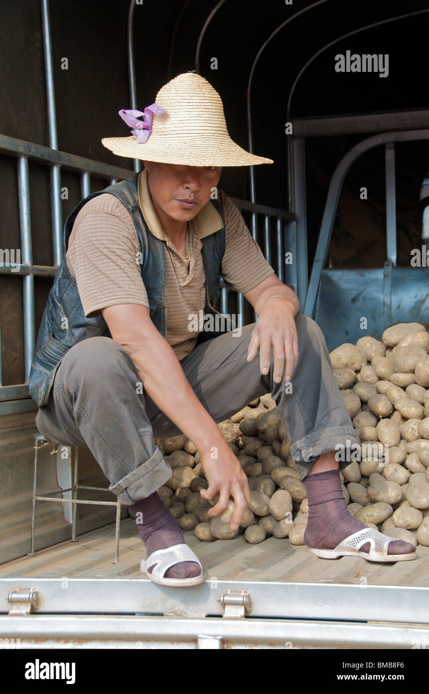 Transport potato hi-res stock photography and images - Alamy