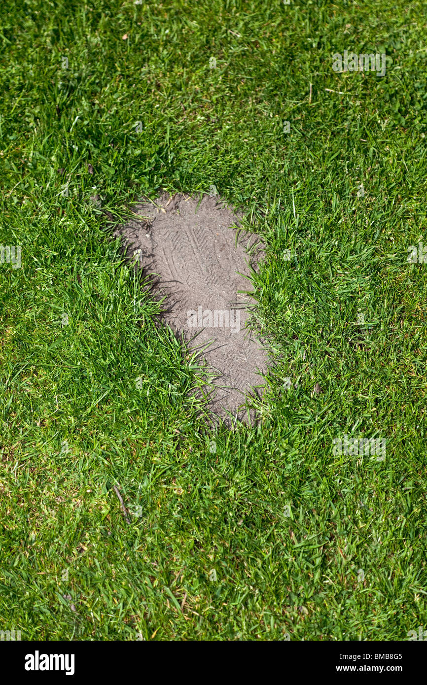 Environmental footprint hi-res stock photography and images - Alamy