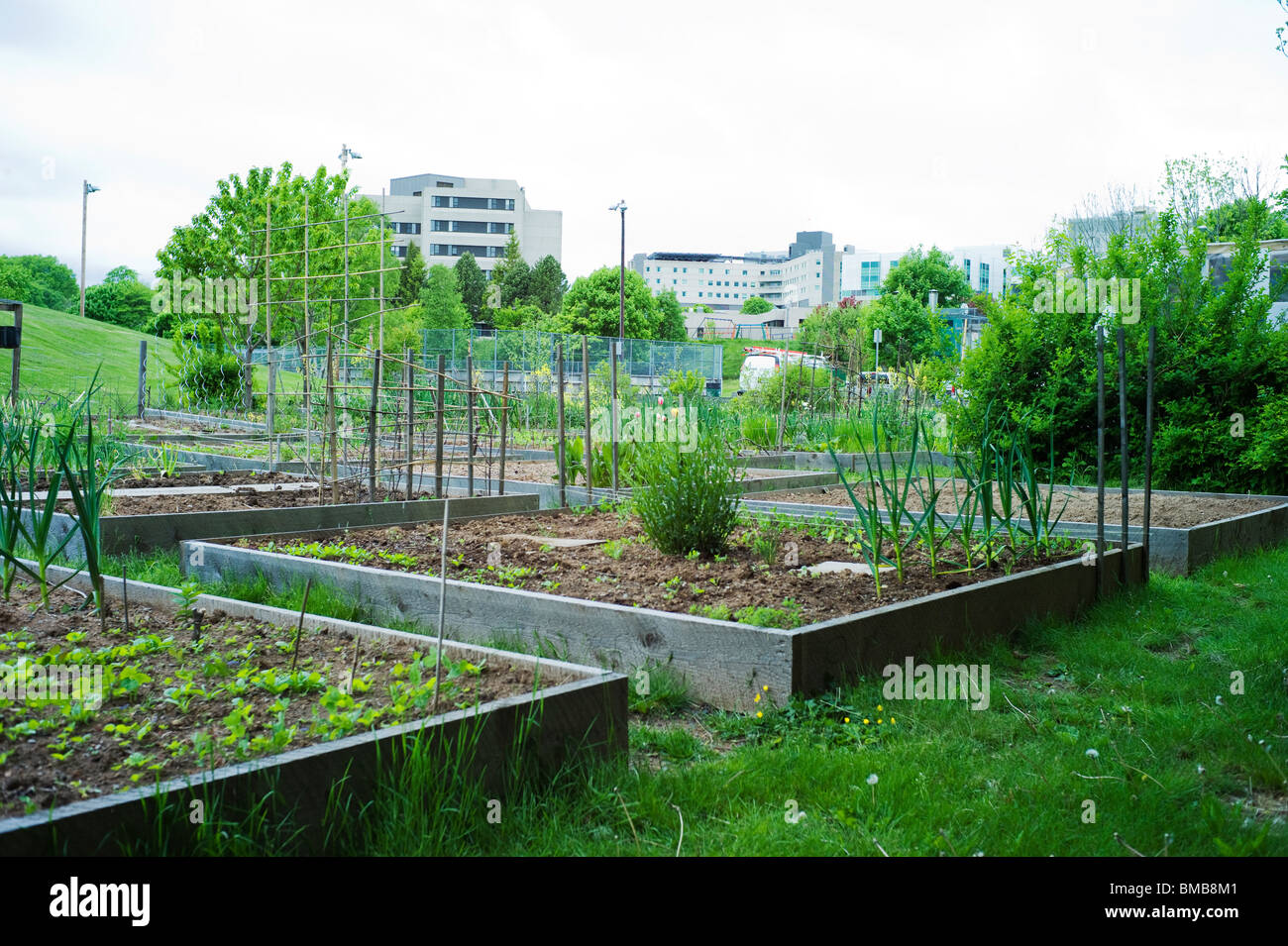 Urban garden plots Stock Photo - Alamy