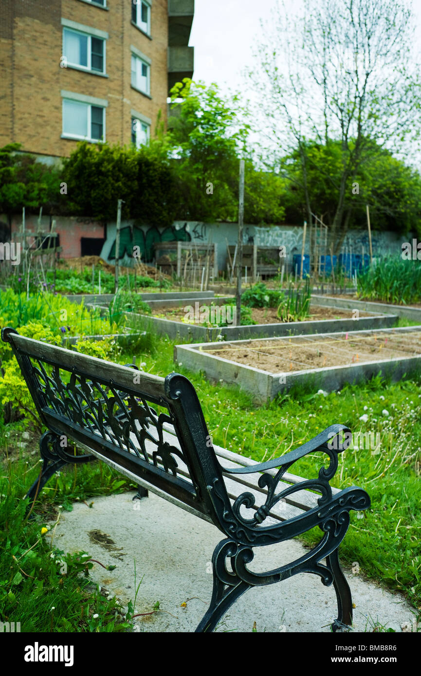 Urban garden plots Stock Photo - Alamy