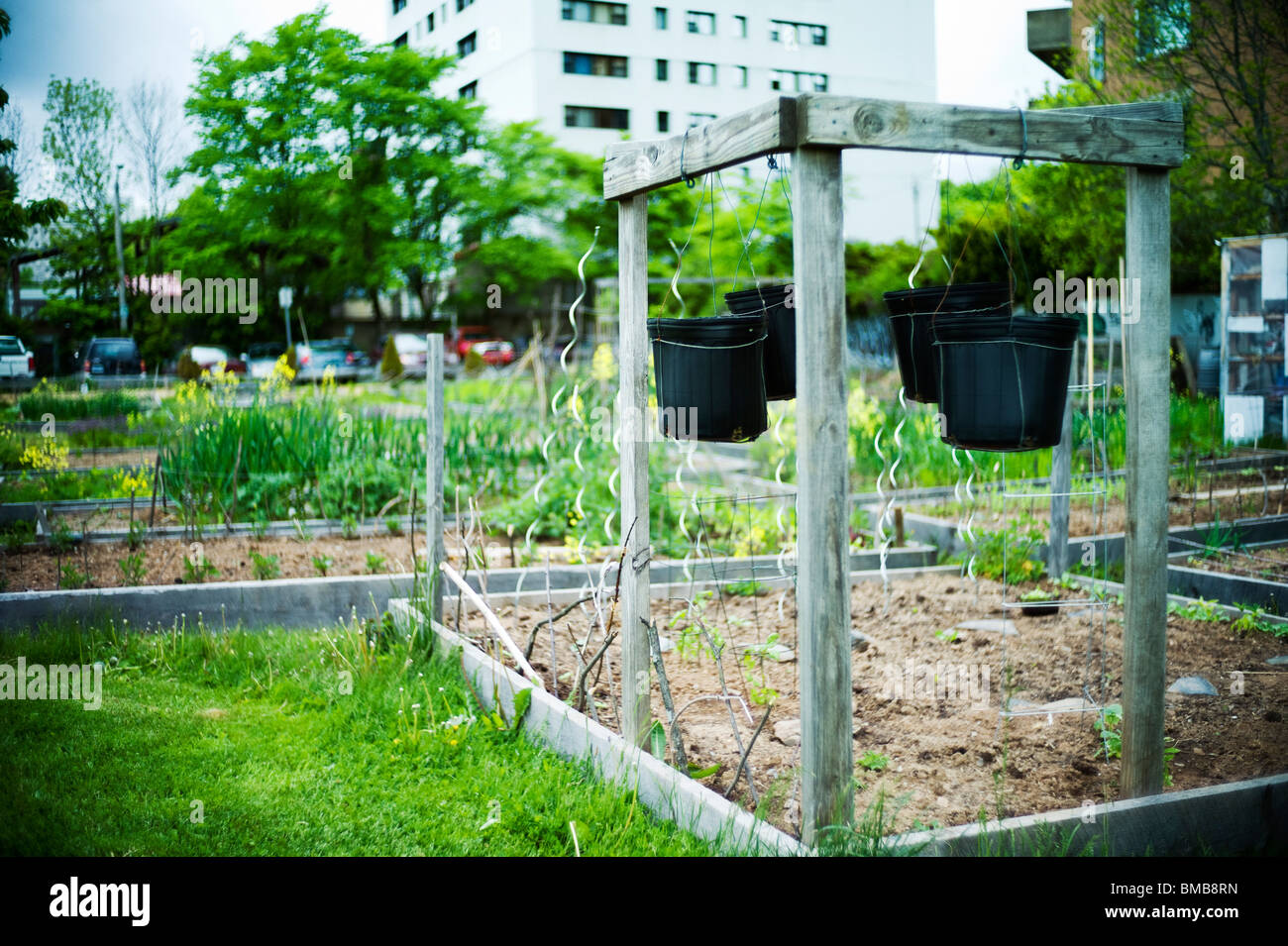 Urban garden plots Stock Photo - Alamy
