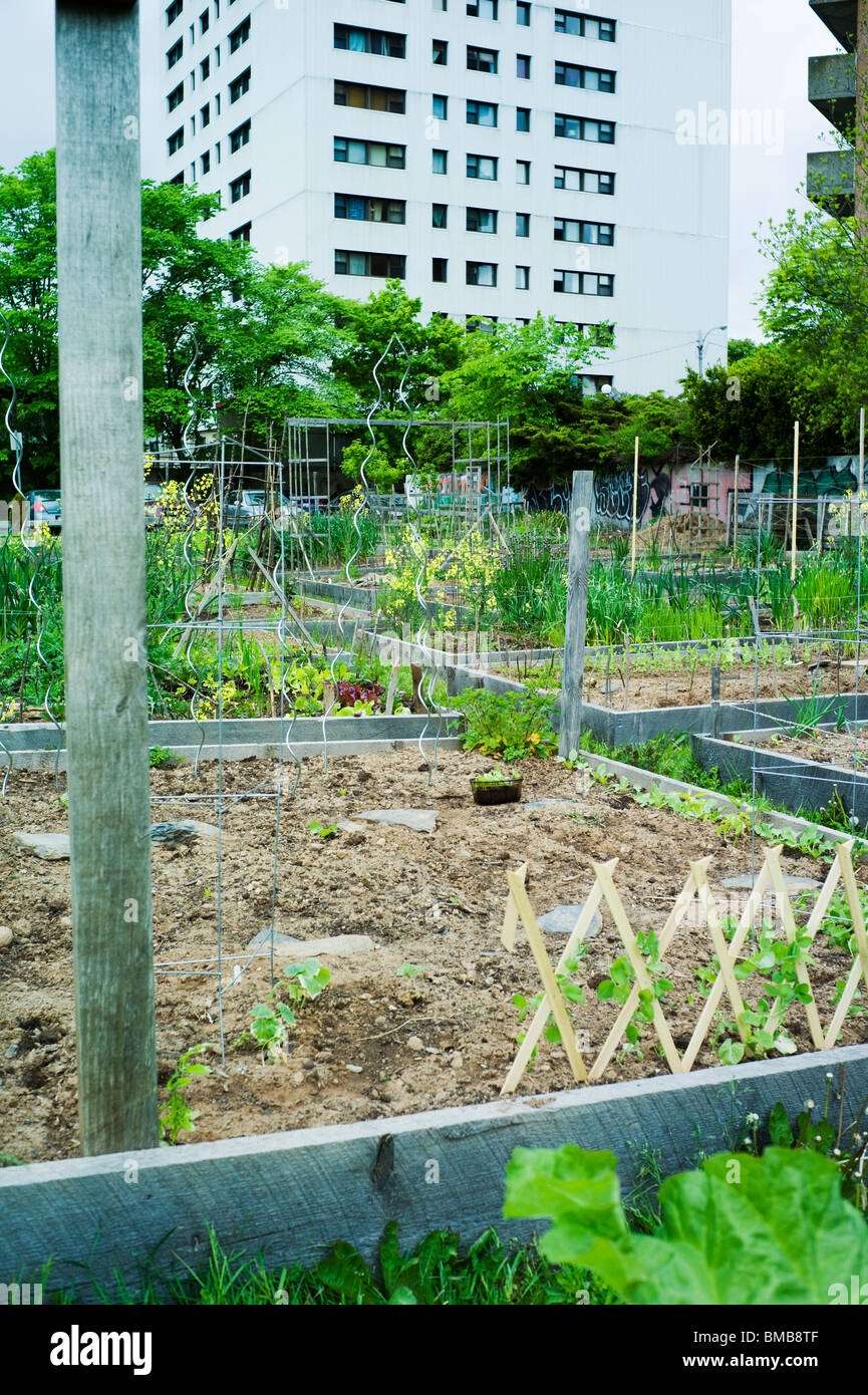 Urban garden plots Stock Photo - Alamy