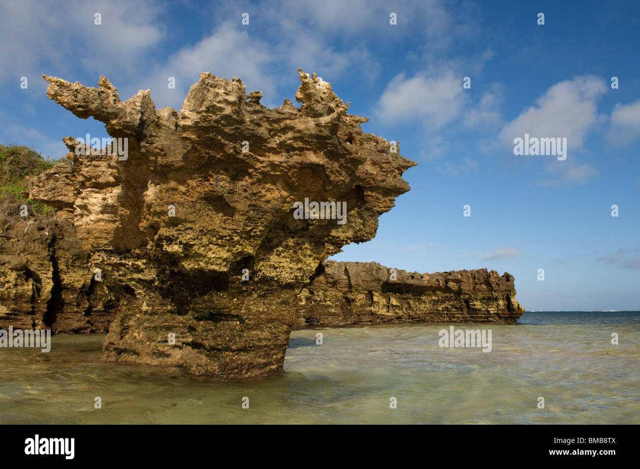 Coral outcrop hi-res stock photography and images - Alamy