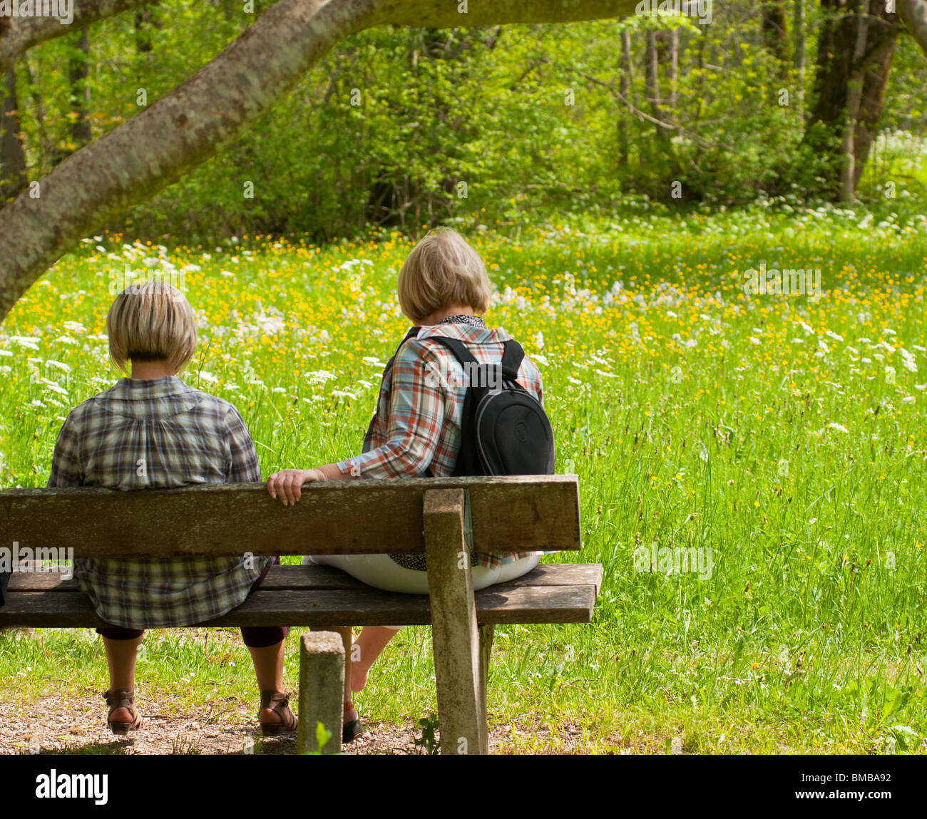 German Countryside High Resolution Stock Photography and Images - Alamy