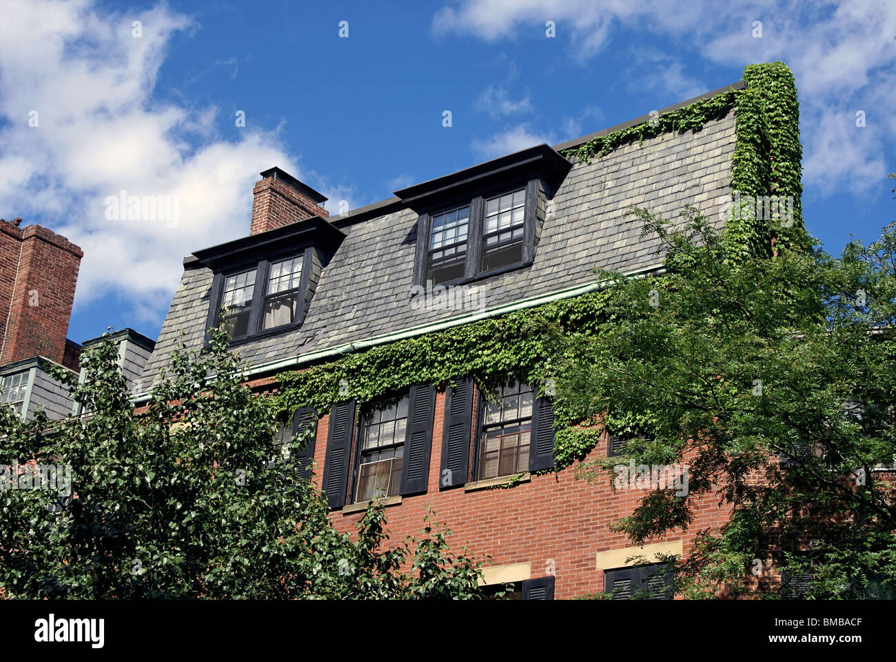Boston ivy covered building hi-res stock photography and images - Alamy