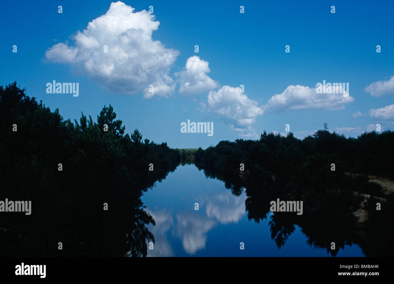 Bordeaux Region France Forest of Lacanau River Stock Photo - Alamy