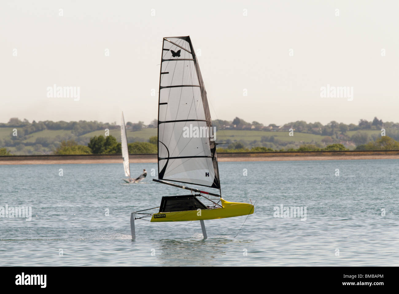 Foiling moth hi-res stock photography and images - Alamy