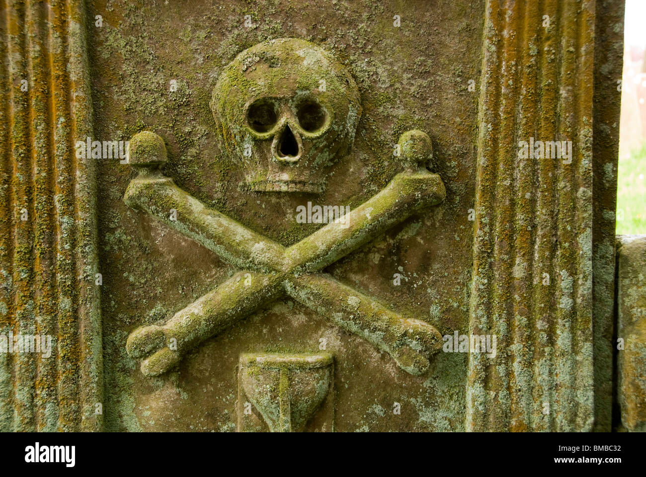 Skull buried hi-res stock photography and images - Alamy