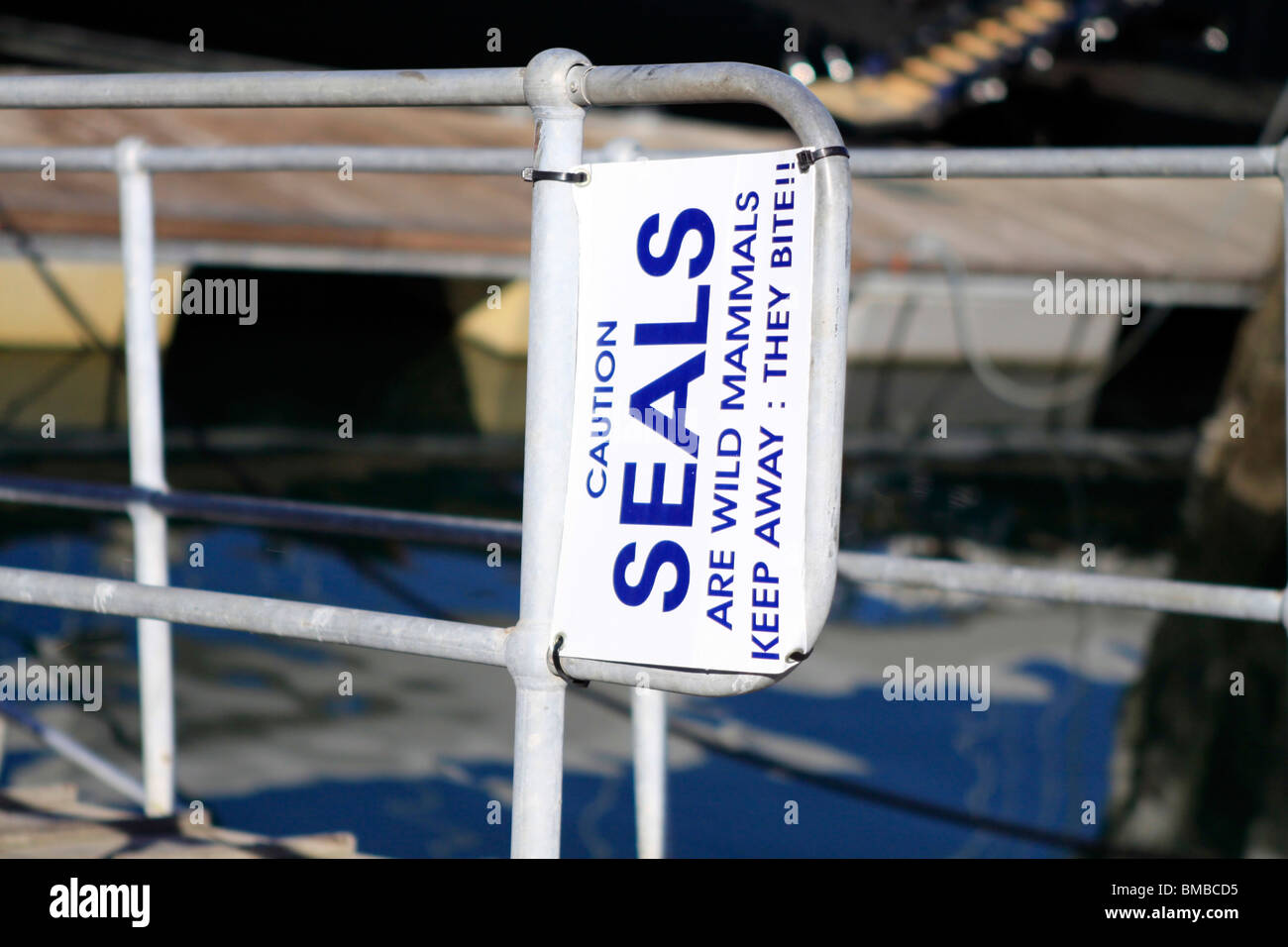 Sign warning people not to interact with seals at V&A Waterfront, Cape ...