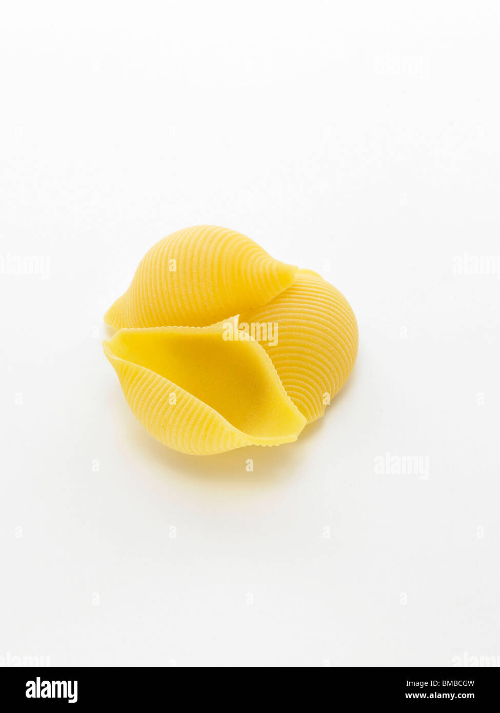 Conchiglie Pasta Shells on White Back Ground Stock Photo - Alamy