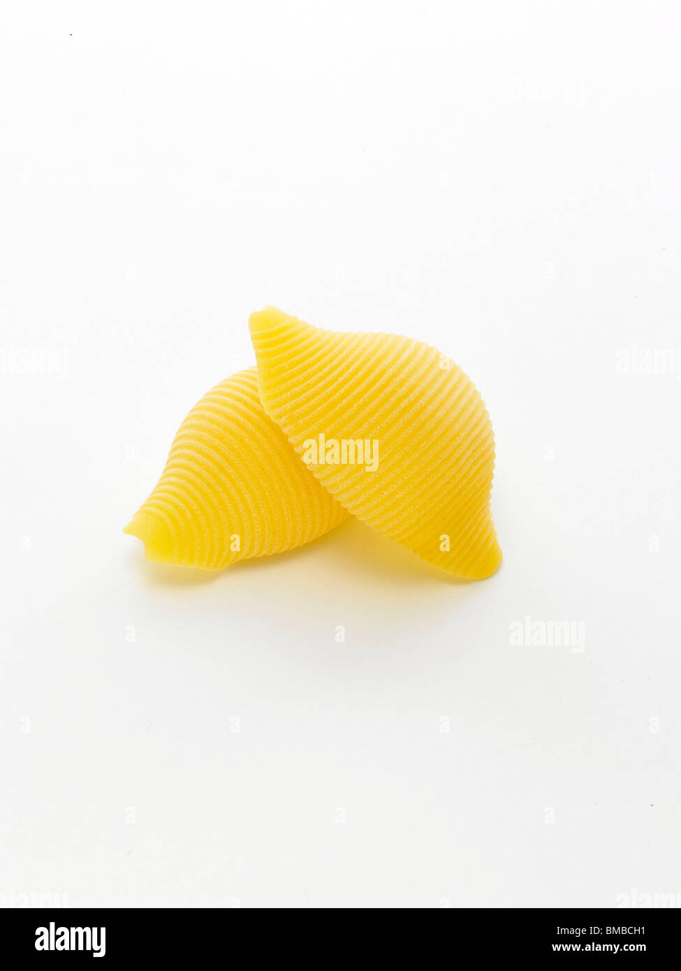 Conchiglie Pasta Shells on White Back Ground Stock Photo - Alamy