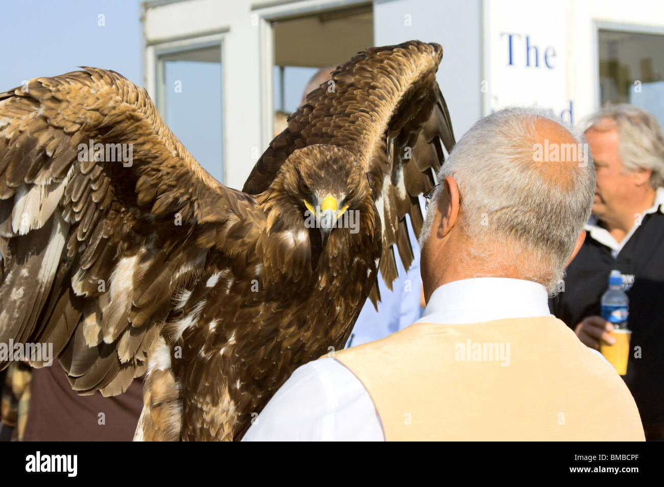 Gransden agricultural show hi-res stock photography and images - Alamy