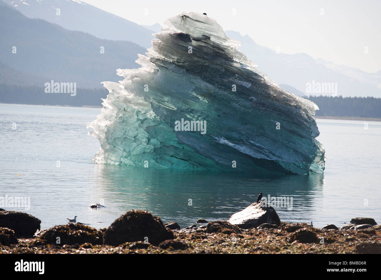 Endicott arm fjord hi-res stock photography and images - Alamy