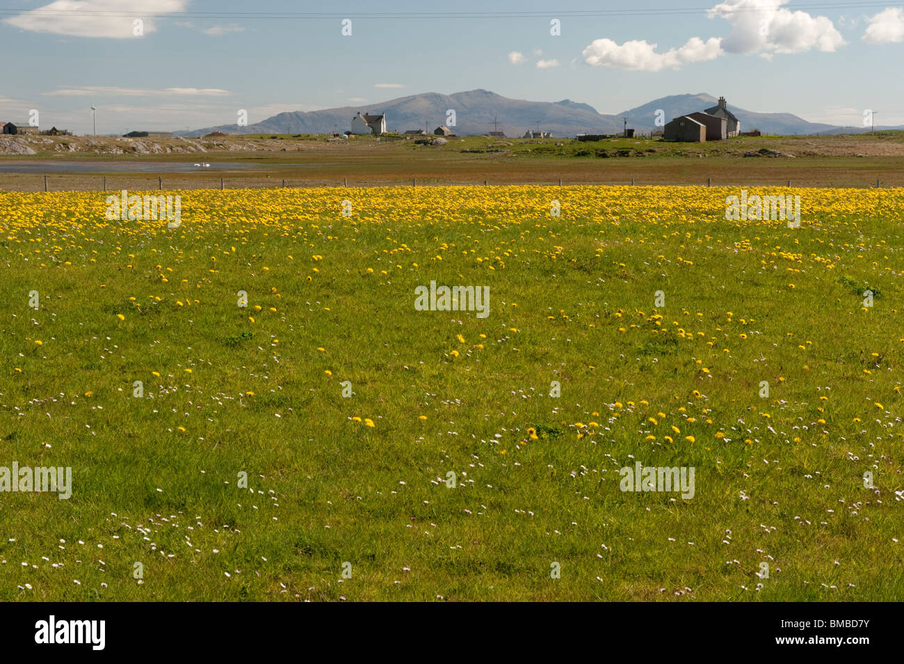 Machair land South Uist Stock Photo - Alamy