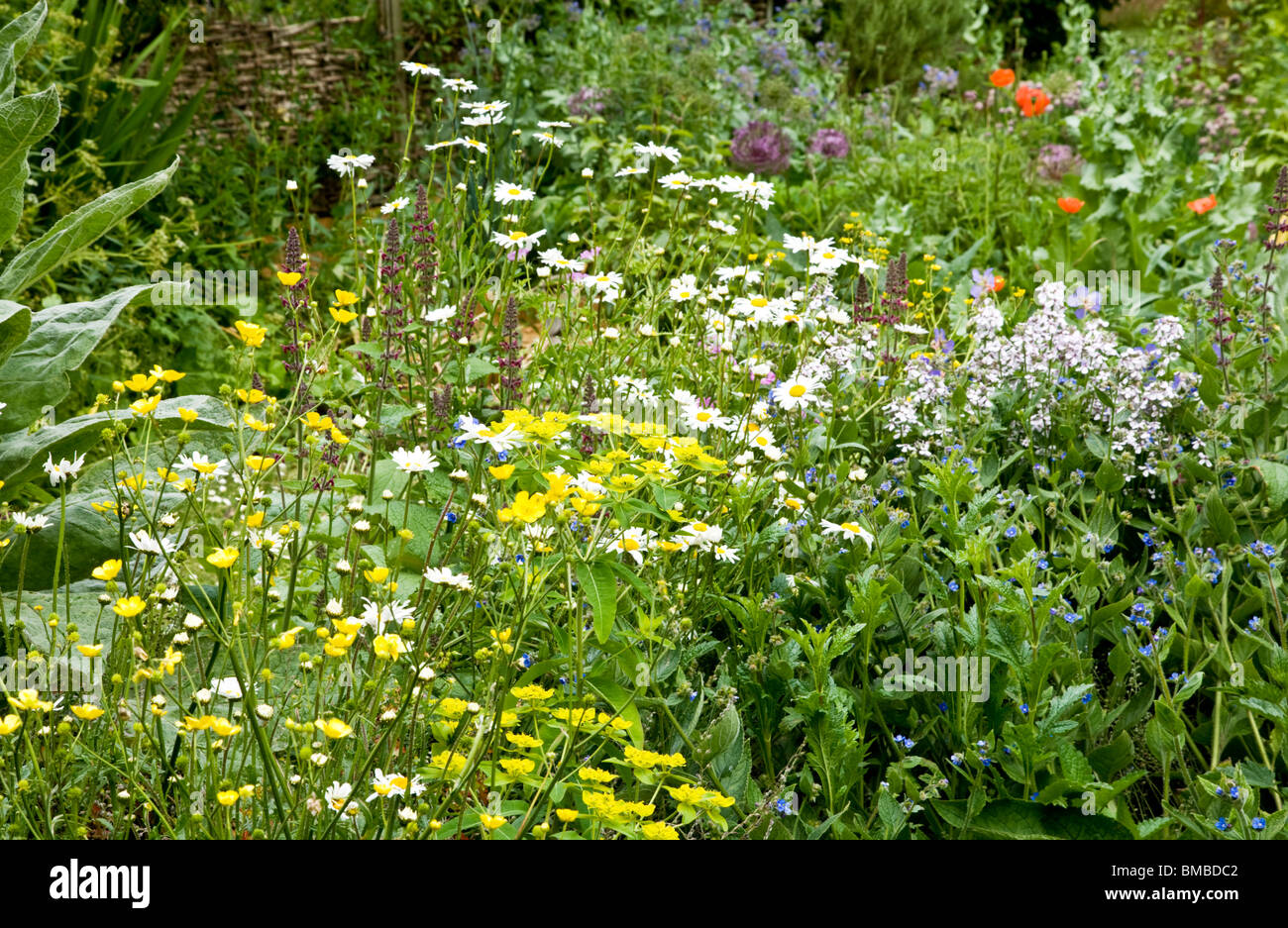A corner of the Physic Garden in the TWIGS gardens in Swindon ...