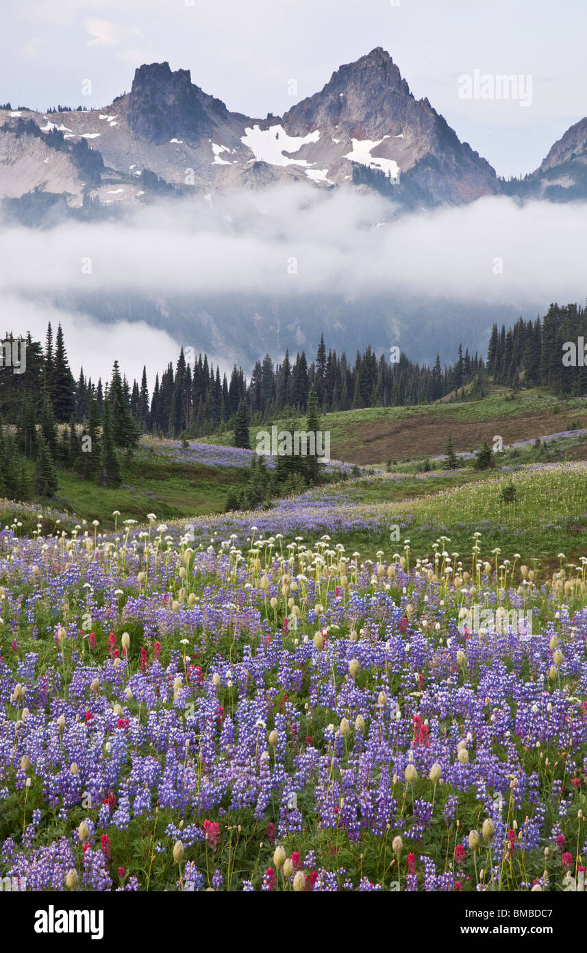 Tatoosh range hi-res stock photography and images - Alamy
