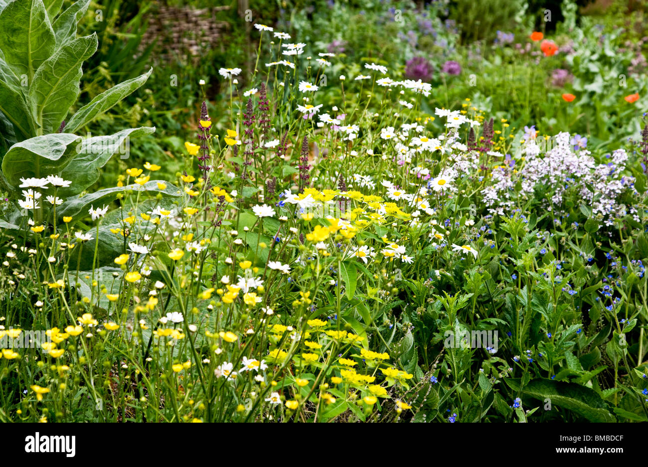 A corner of the Physic Garden in the TWIGS gardens in Swindon ...