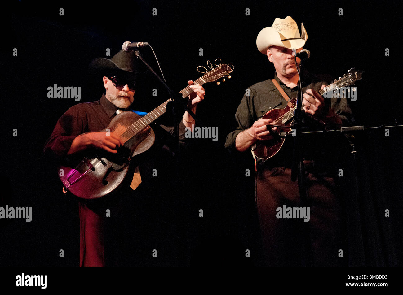 Ike Sheldon and Phil Wade from The Wilders playing a gig in Belfast ...