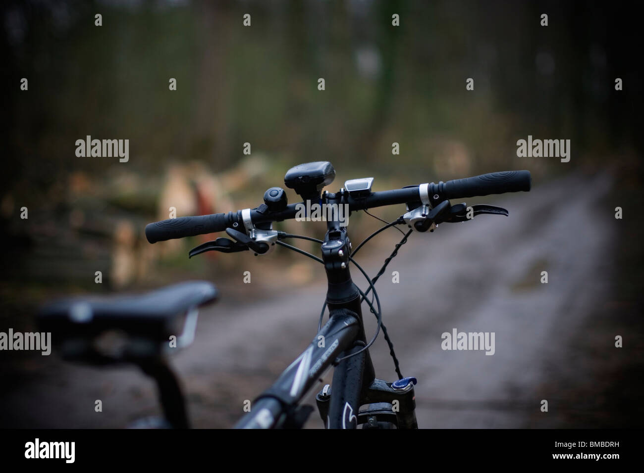 Treking bicycle on a forest path Stock Photo - Alamy