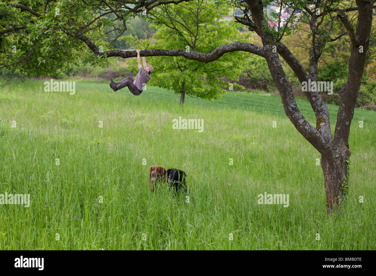 Man from hanging from a tree hi-res stock photography and images - Alamy