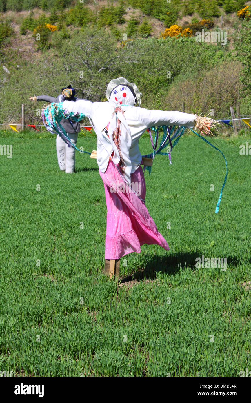 'Mr and Mrs' scarecrows in a field near Ardara, County Donegal, Ireland ...