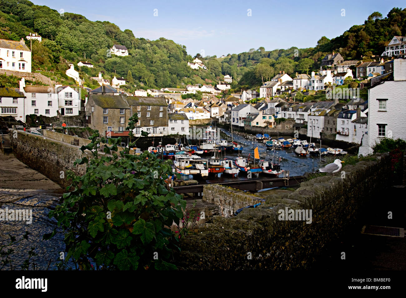 View of Polperro harbour and town as seen from a footpath up the hill ...
