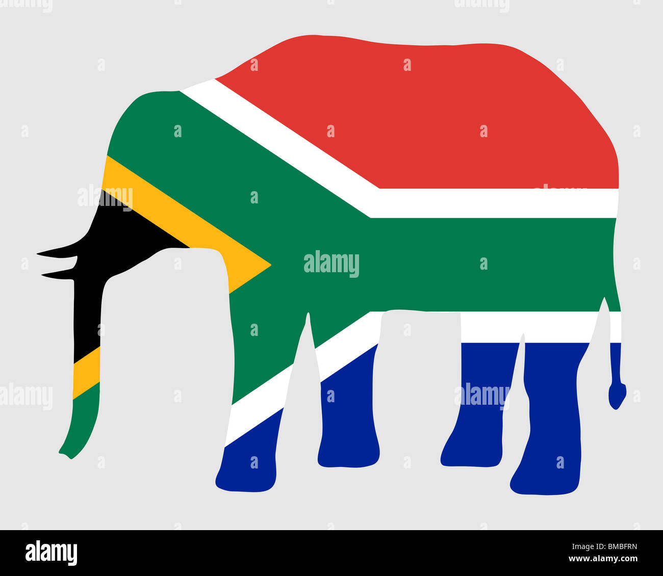 Elephant with flag of south Africa Stock Photo - Alamy