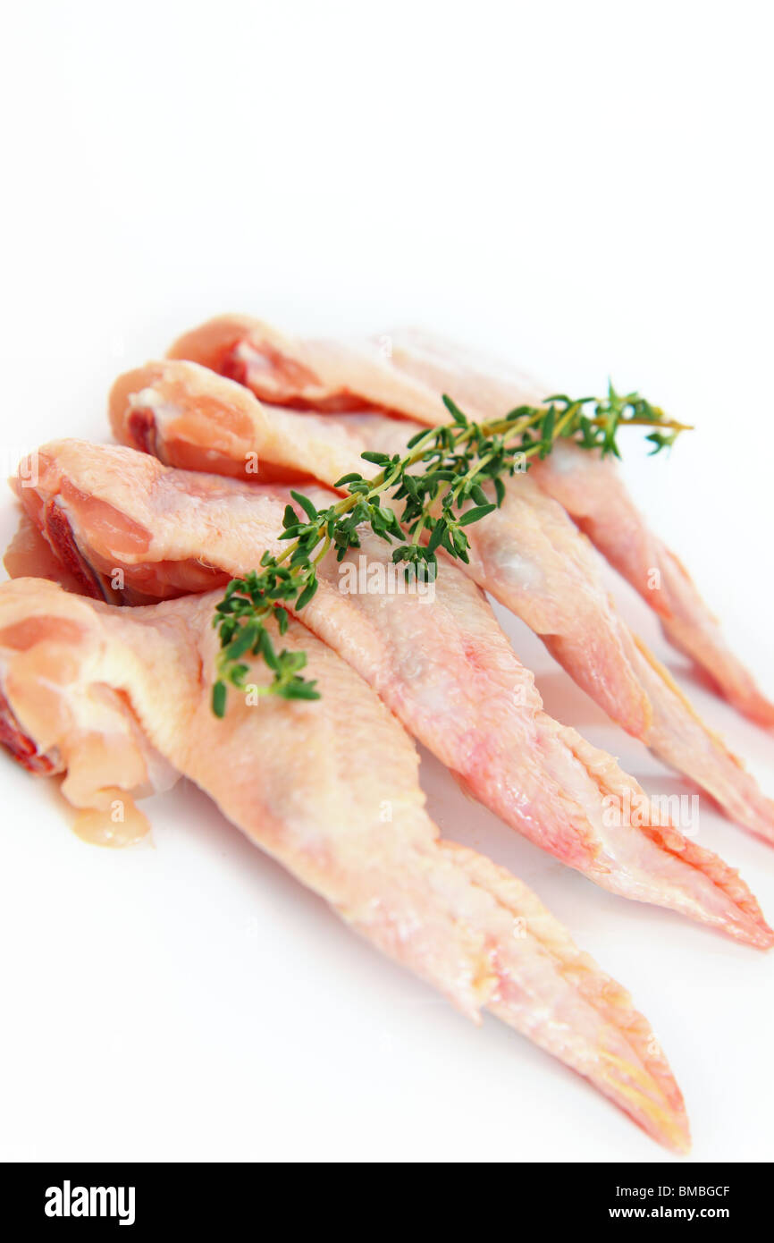 Raw Chicken Wing Dissection