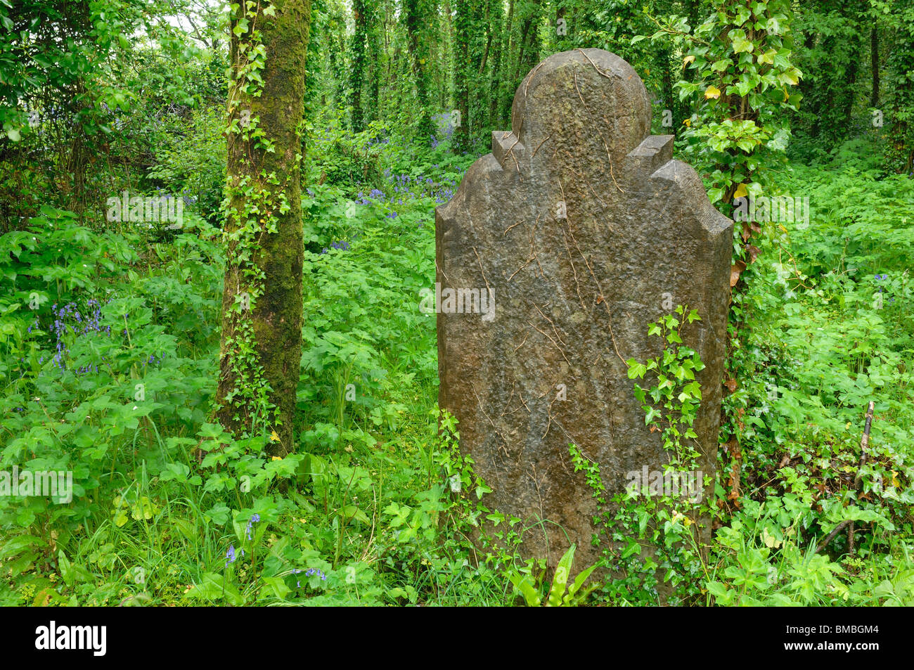 Graveyard - John Gollop Stock Photo - Alamy