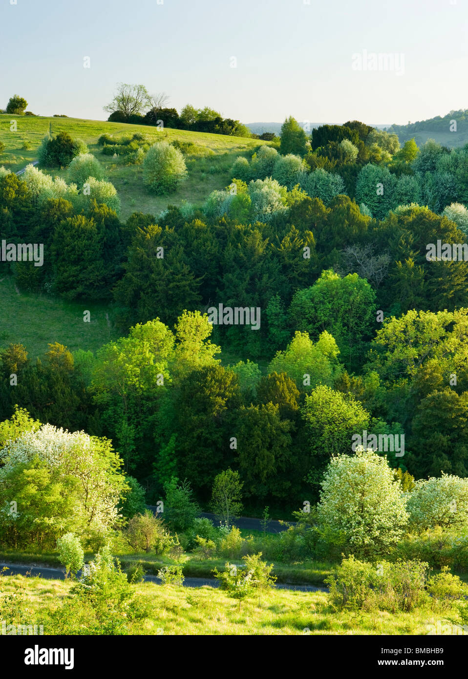 Spring june britain uk hi-res stock photography and images - Alamy