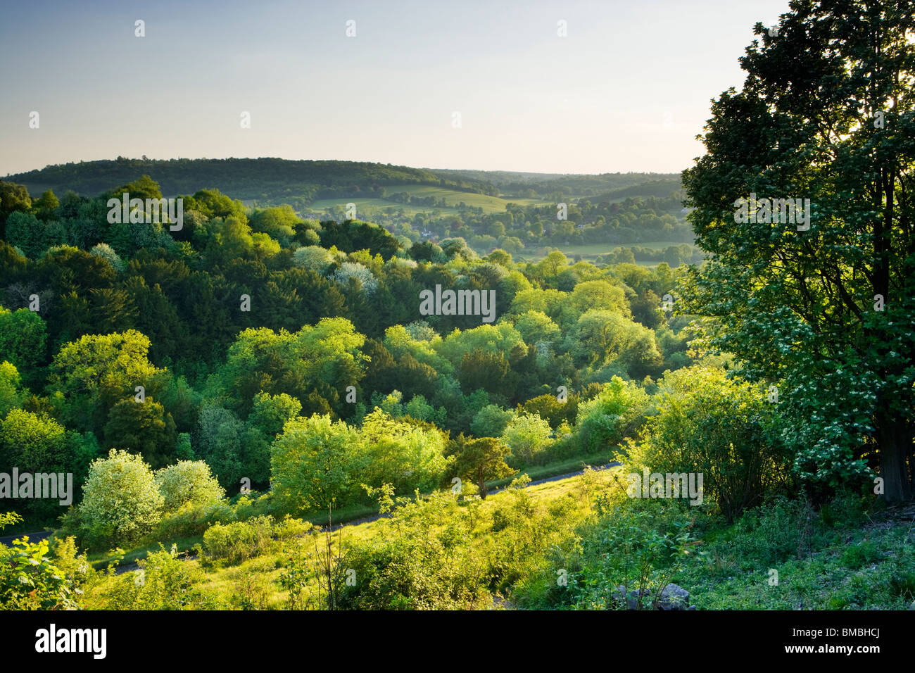 Spring june britain uk hi-res stock photography and images - Alamy