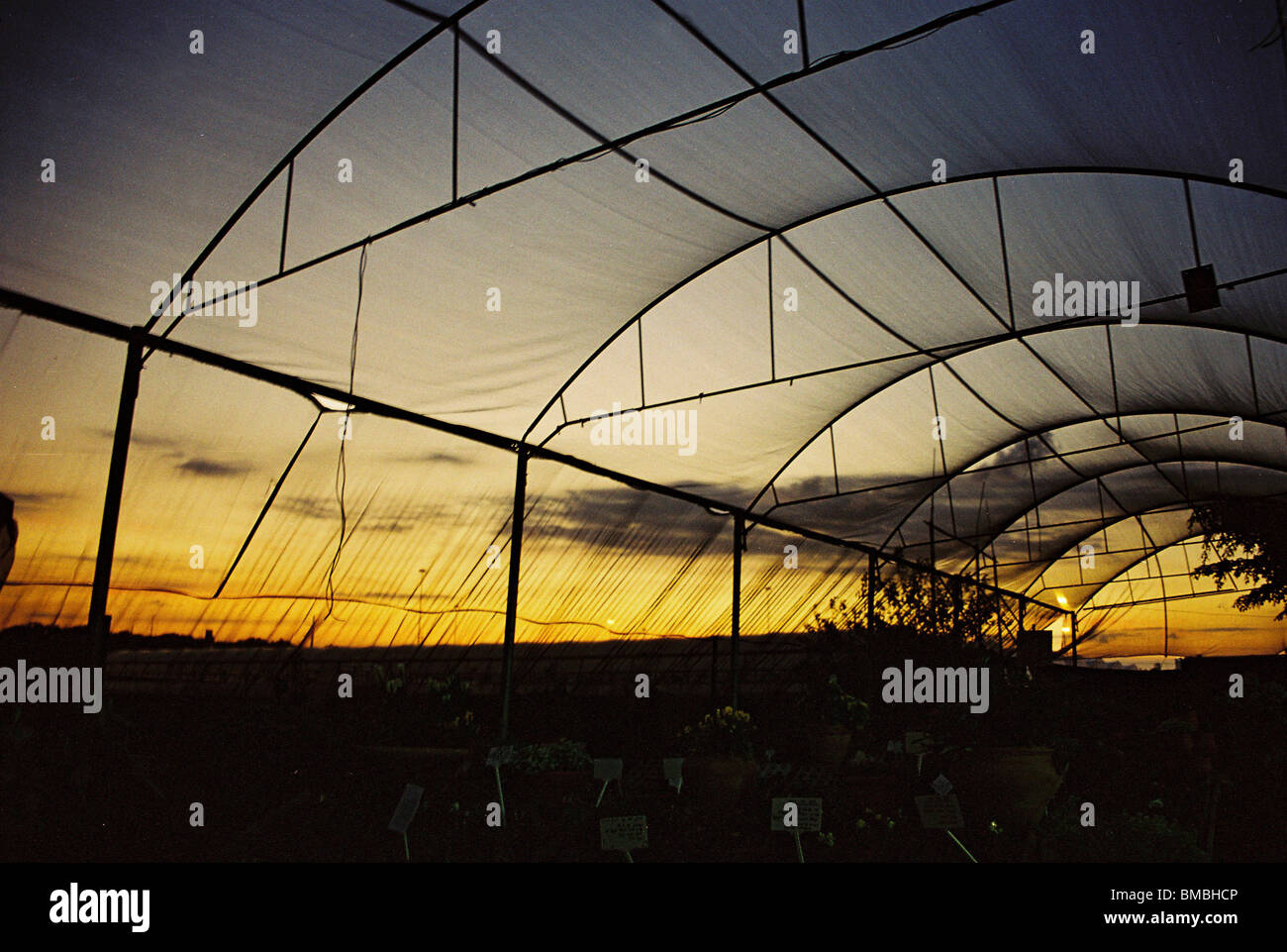 A greenhouse at sunset Stock Photo - Alamy