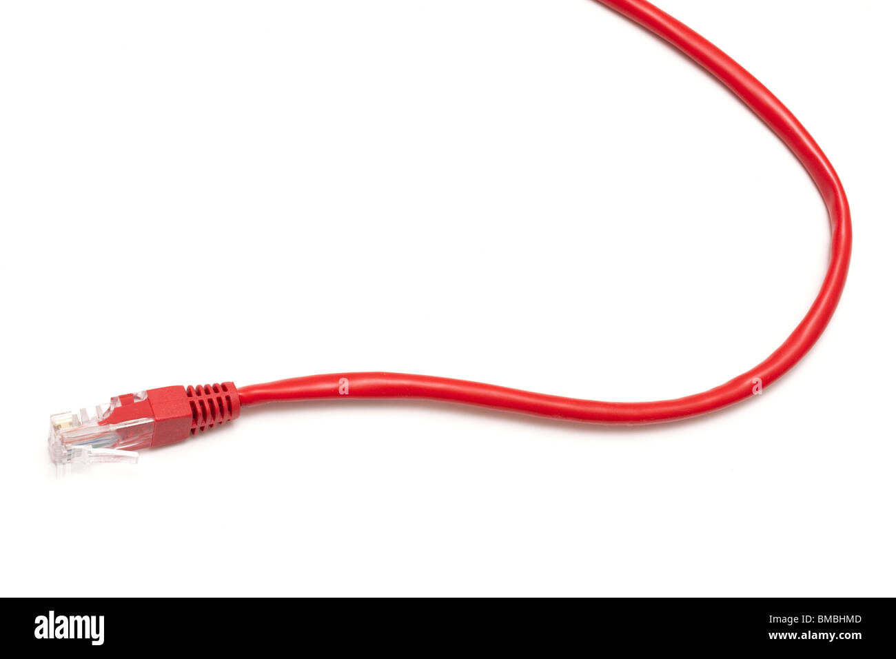 Computer Network Cable isolated on white background Stock Photo - Alamy