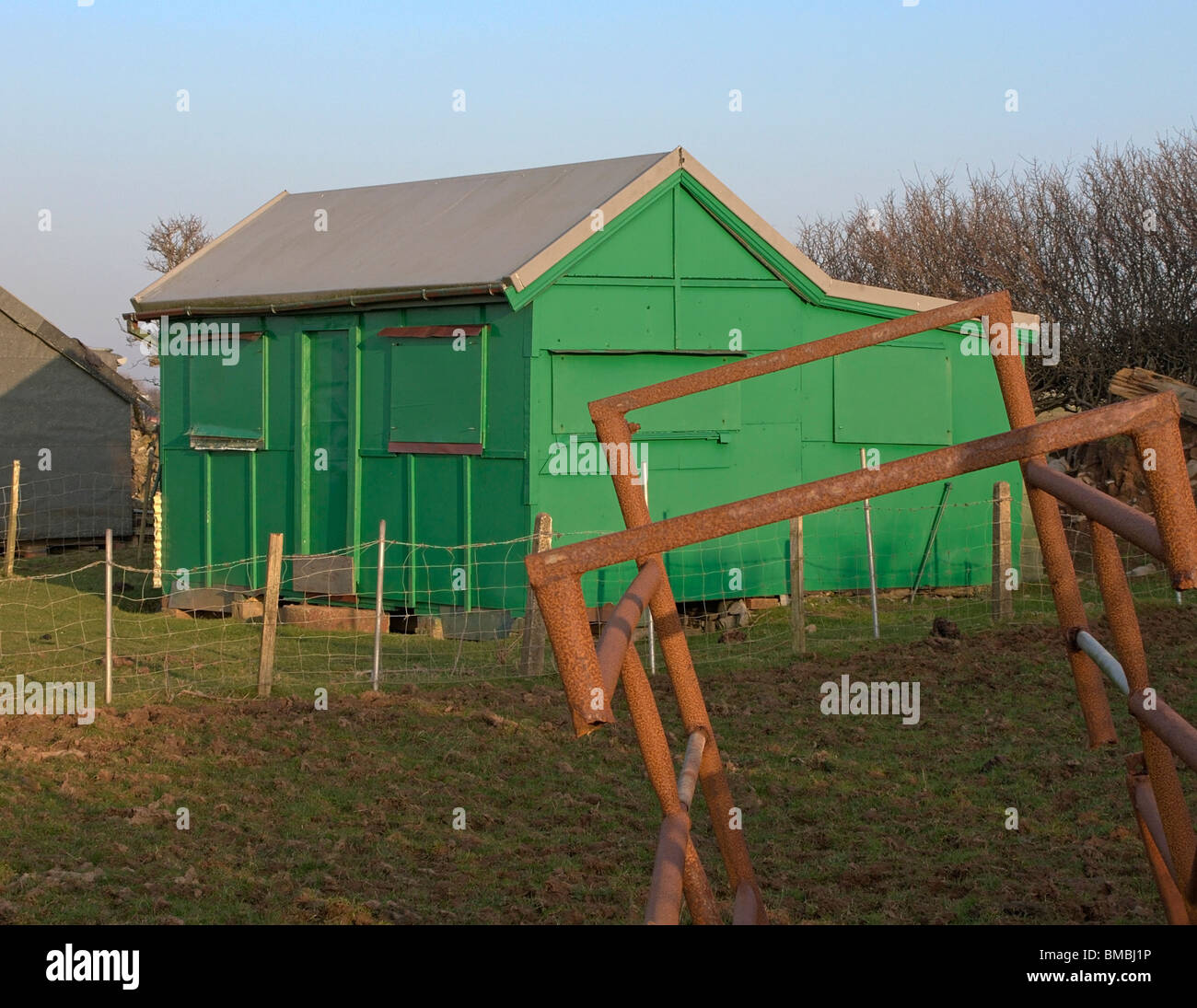 Gower animals hi-res stock photography and images - Alamy