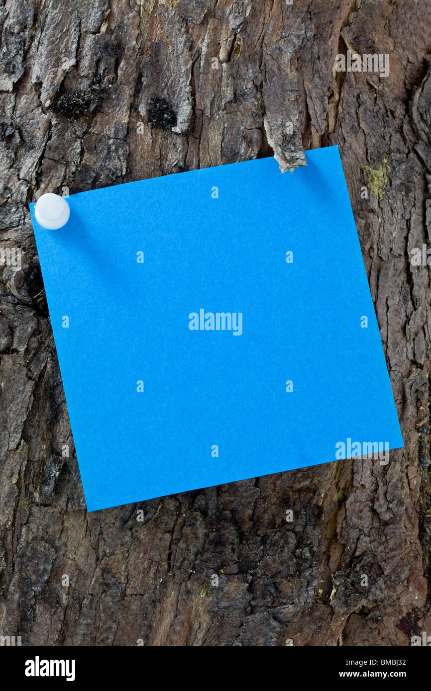 A post-it note on a tree trunk with leaf shadows Stock Photo - Alamy
