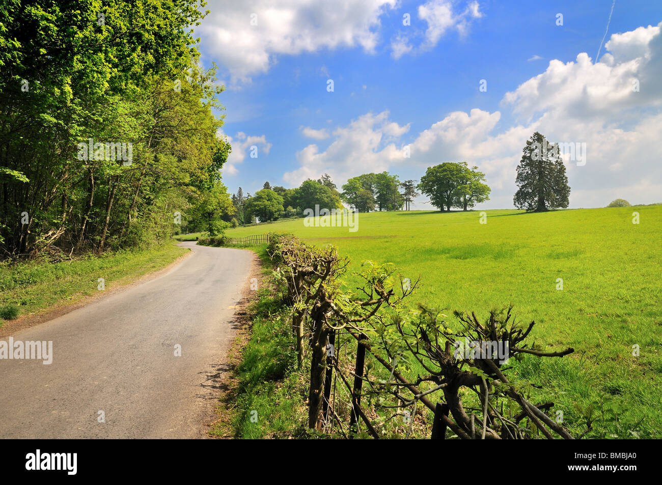Country lane surrey hi-res stock photography and images - Alamy