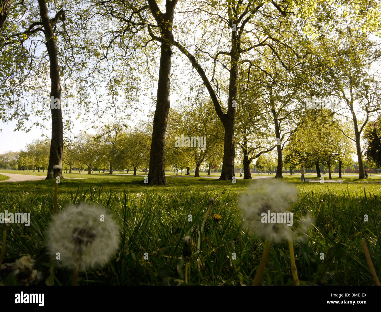 Park and open space hi-res stock photography and images - Alamy