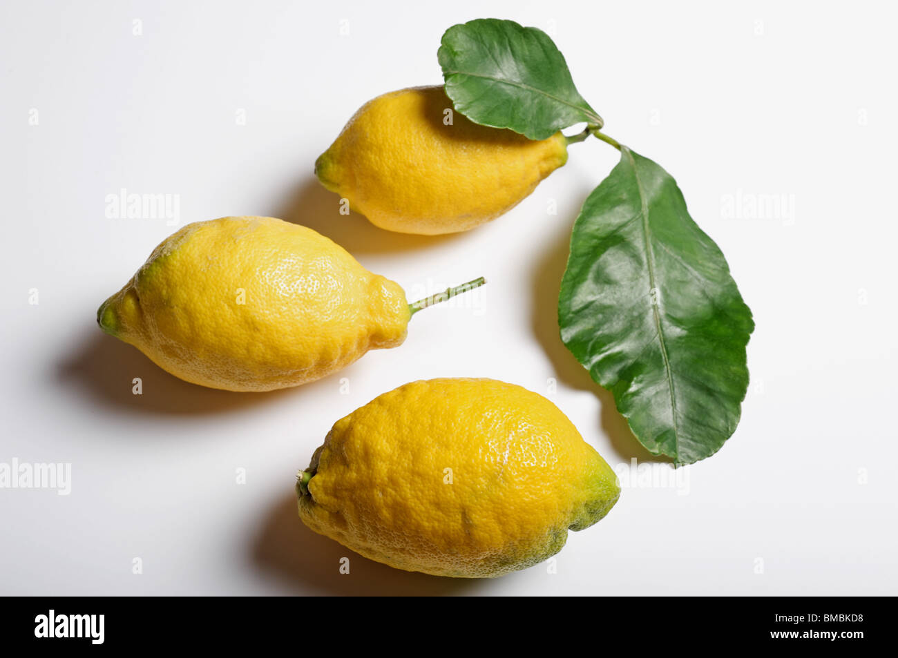 Sicilian lemons hi-res stock photography and images - Alamy