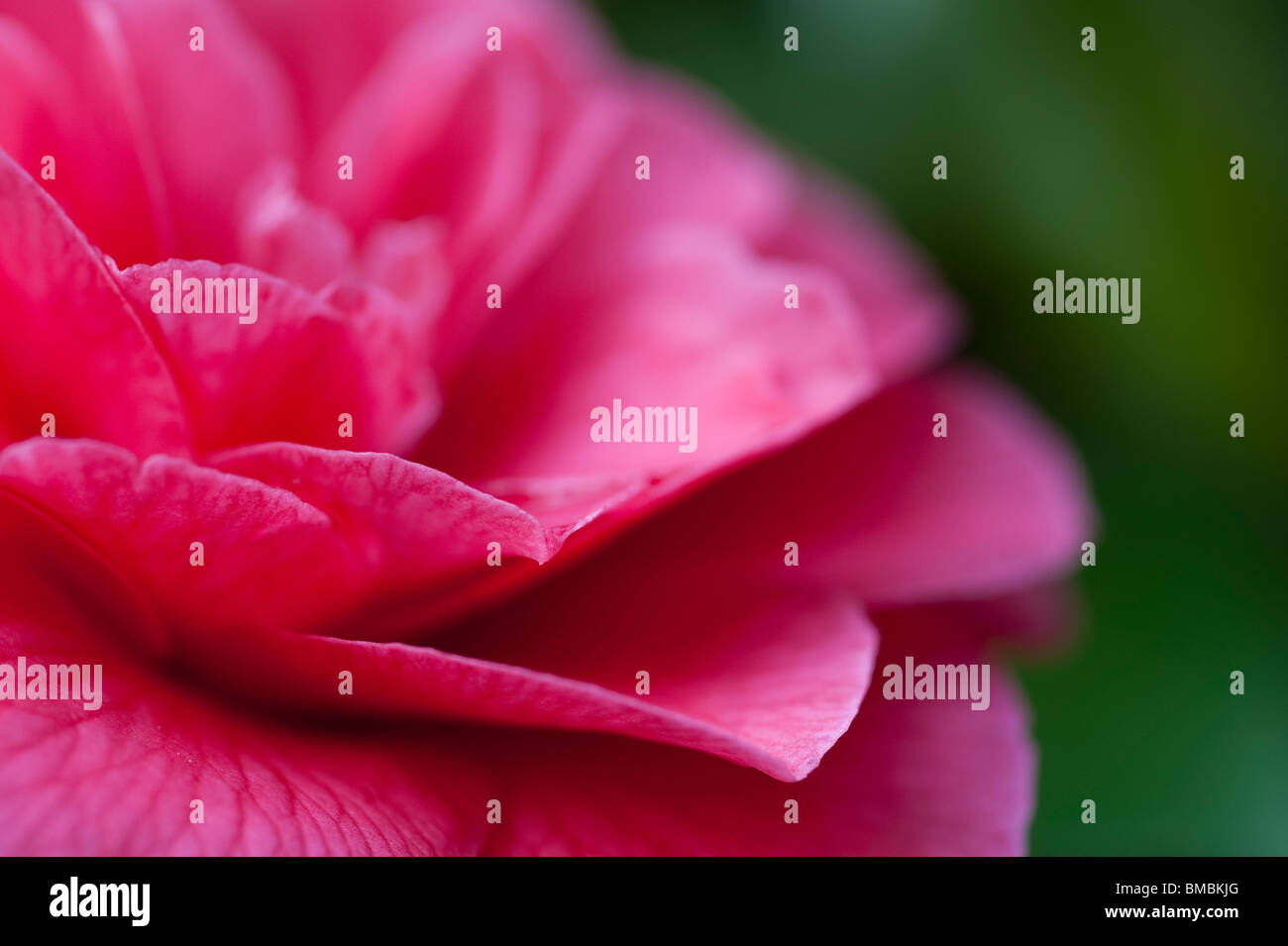 Kubota Garden in South Seattle Washington State USA with beautiful ...