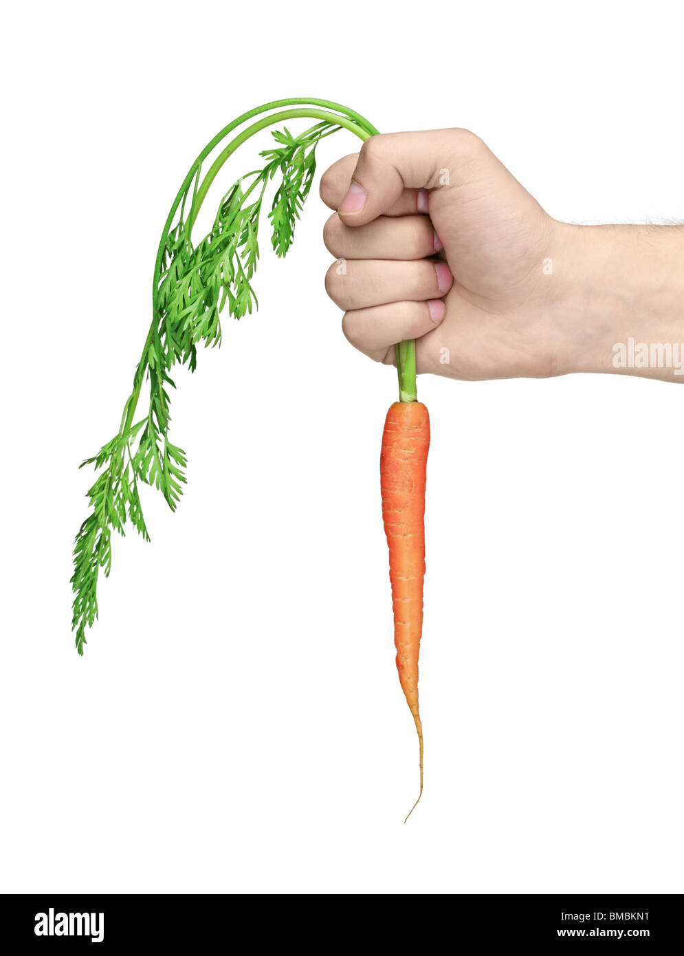 A hand holding a fresh and ripe carrot Stock Photo - Alamy