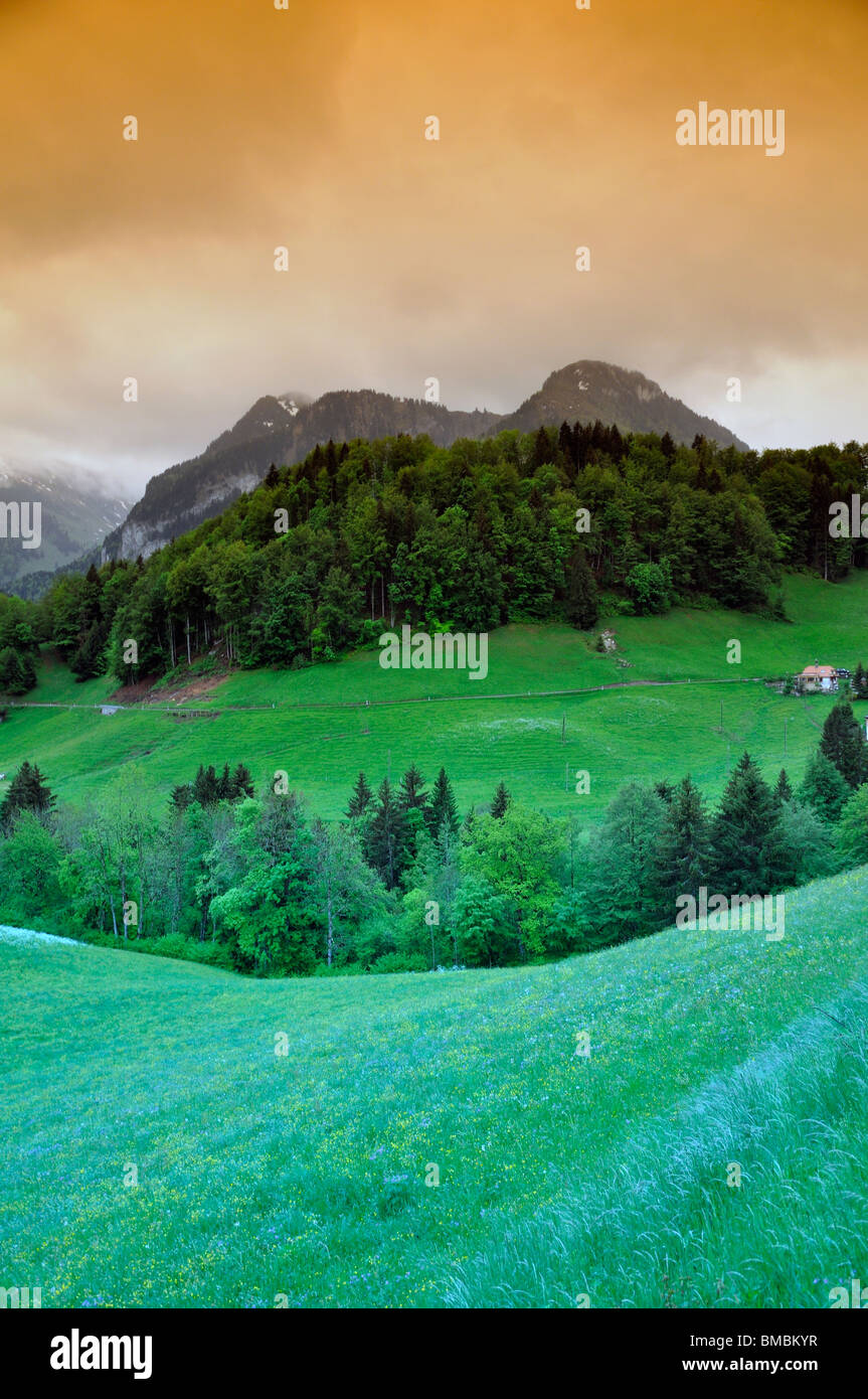 Switzerland swiss schweiz alps hill hills mountain mountains grass hi ...