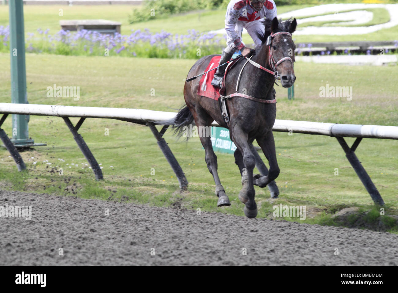 Riding a horse in full gallop hi-res stock photography and images - Alamy