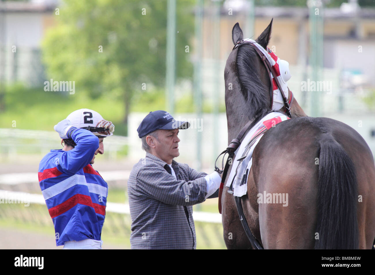 Horse after race hi-res stock photography and images - Alamy