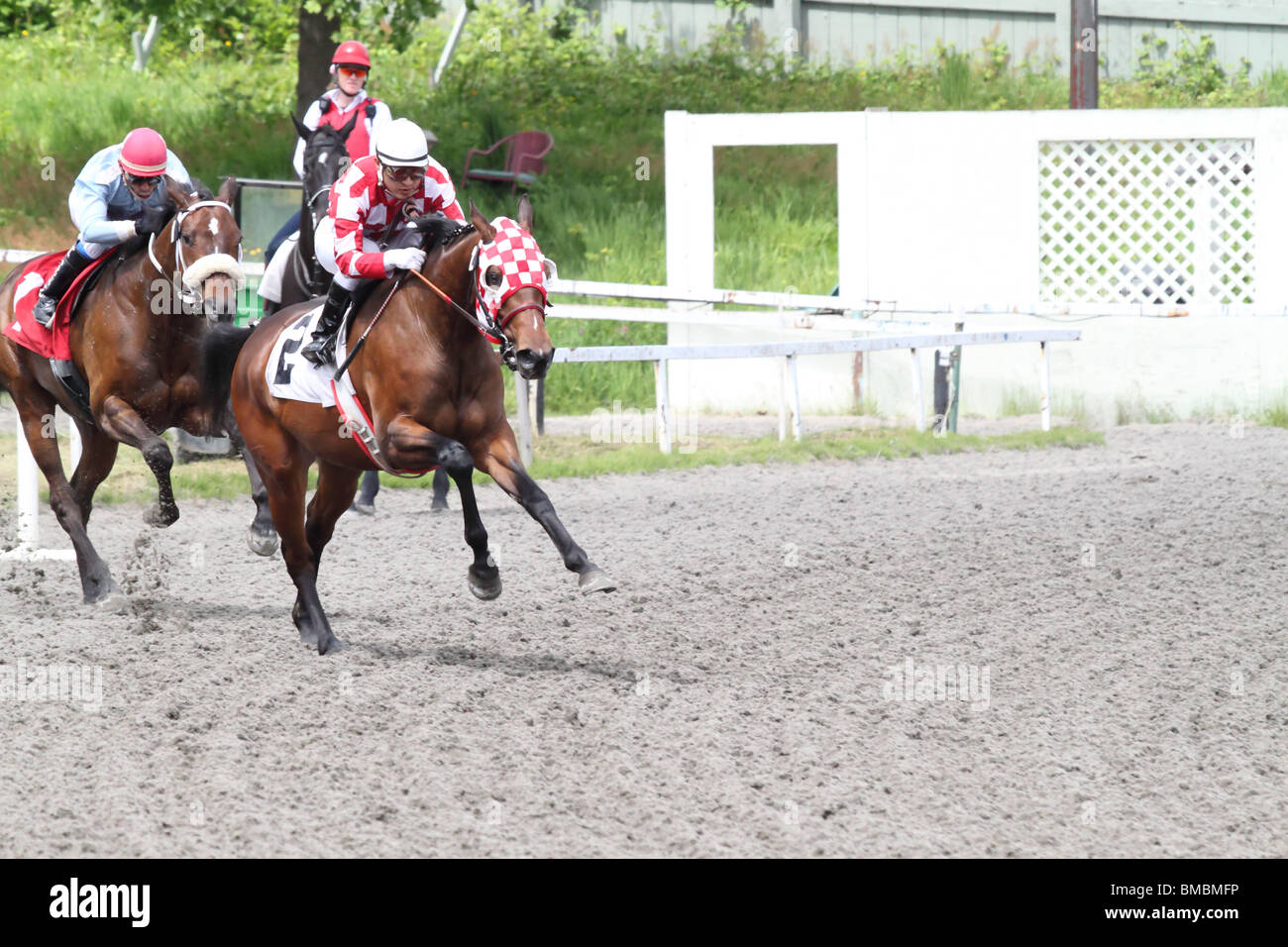 Full length horses horse racing hi-res stock photography and images - Alamy